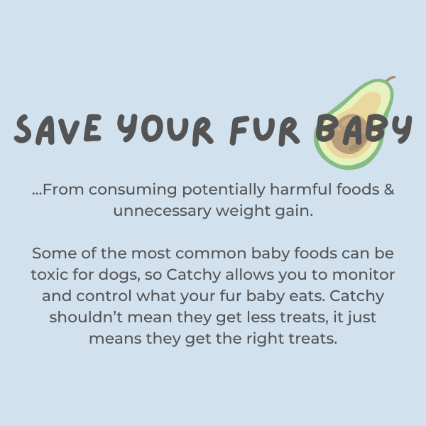 High Chair Catchy & Feeding Accessories | Food & Mess Catcher | Catchy